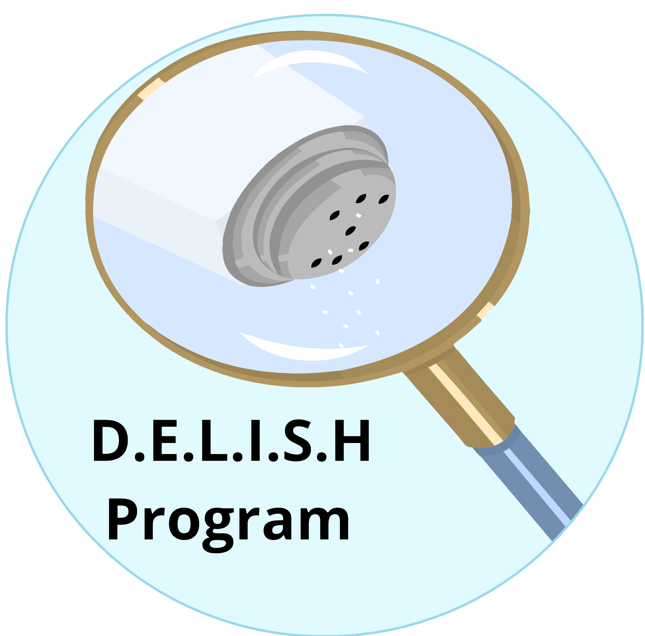 The Digital Education to Limit Salt in the Home Program (DELISH ...