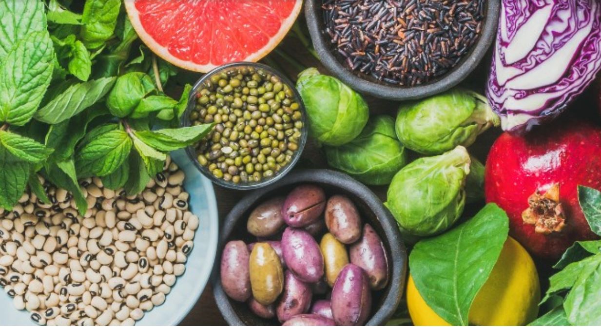 Food Governance Conference 2019 - World Health Organization ...